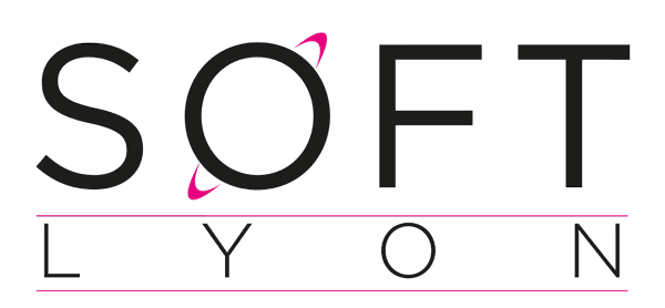 Fiche de paie Lyon, Déclaration sociale Lyon | SOFT LYON